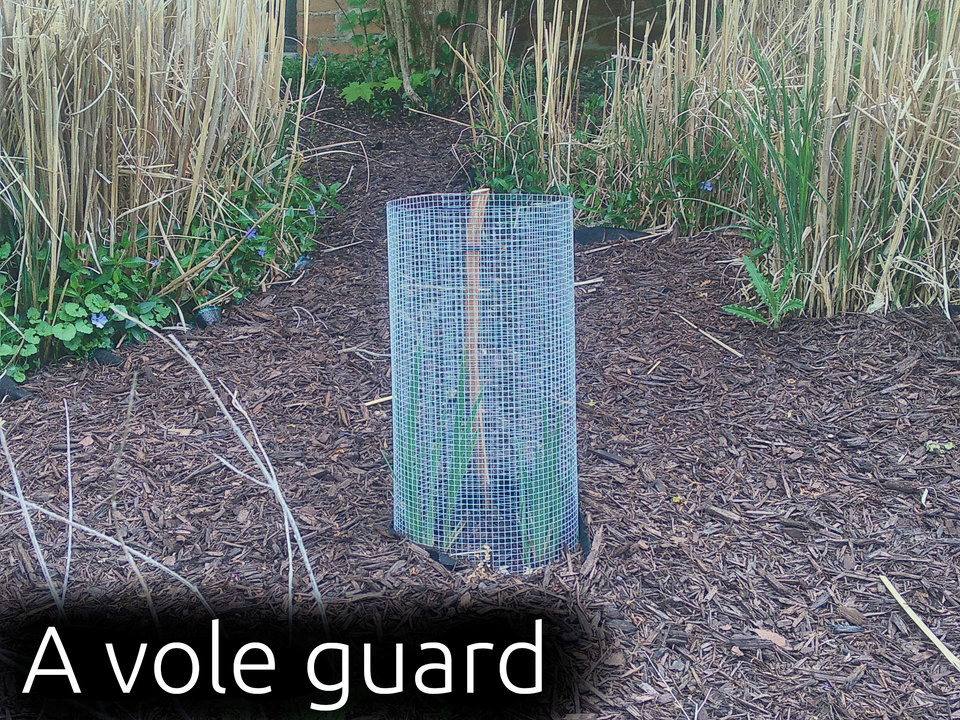 Metal Plant Protection Fences – Andrew Sblendorio